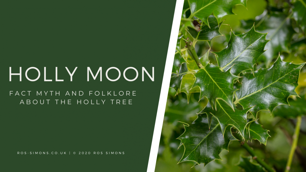 Celtic Tree Journey - Holly Moon - Ros Simons